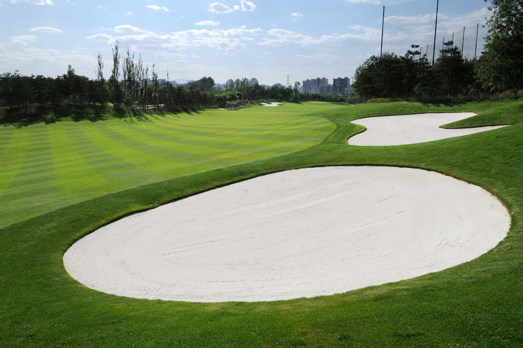 Shaping Futures: Knowing the Elemental Composition of Sand - Cianflone ...